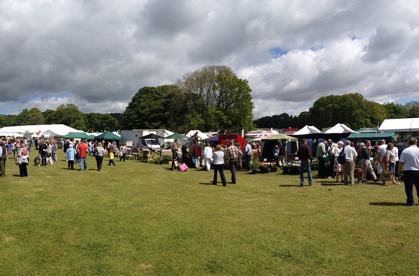 Company Summer Outings: Event Management Tips