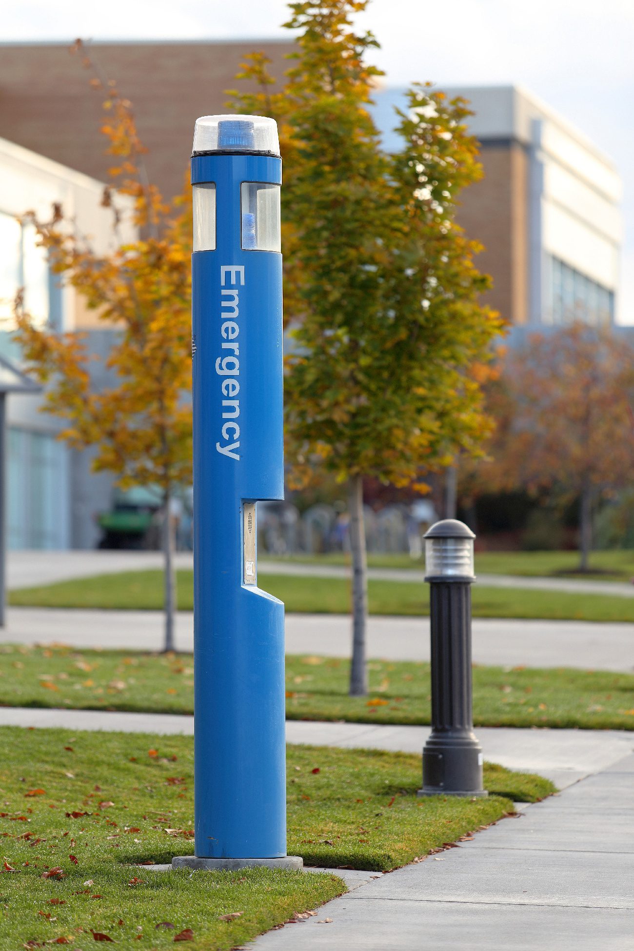 Lumières bleues ou application de sécurité sur le campus ? Quel est le ...